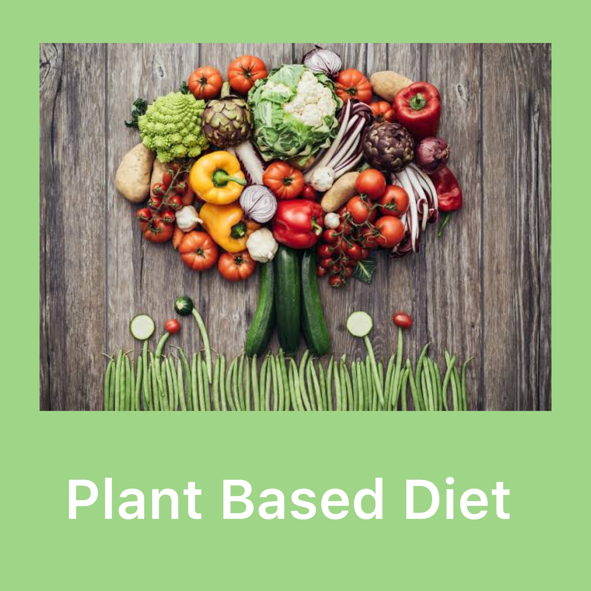 Plant Based Diet - Latest Blog