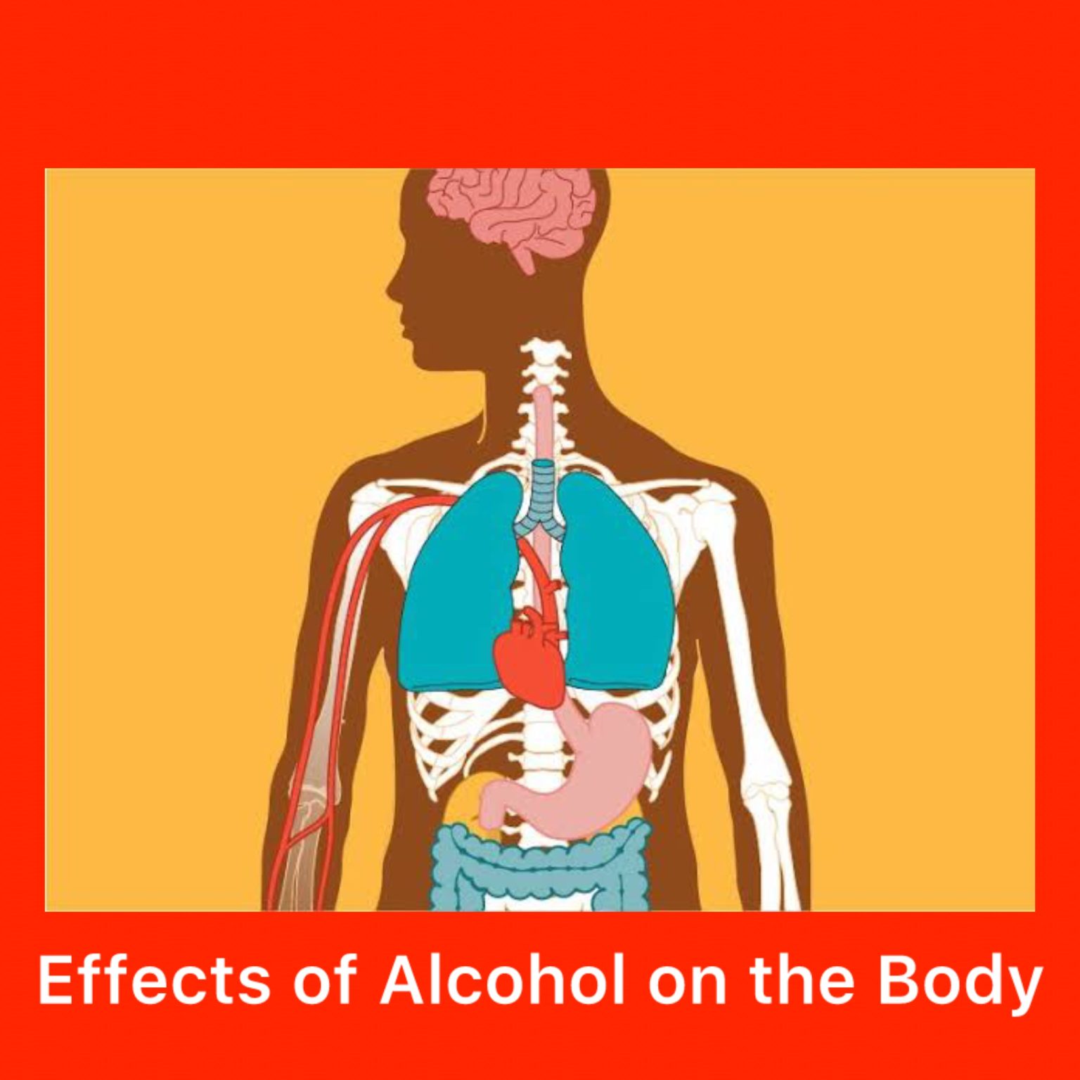 The Sobering Truth: The Harmful Impact of Alcohol - Latest Blog