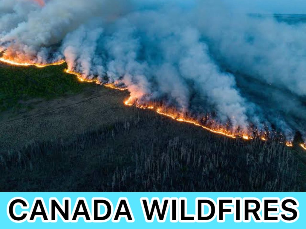Understanding the Impact of Wildfires in Canada - Latest Blog